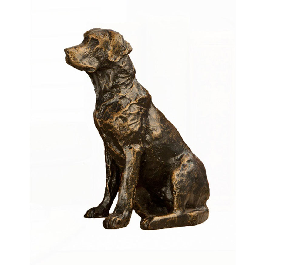 Bronze Labrador Retriever – Material Possessions